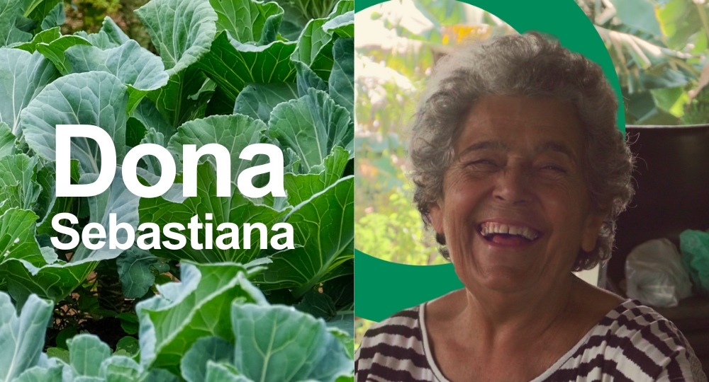 Dia do Agricultor: como o projeto Hortas em Rede transforma vidas e ...