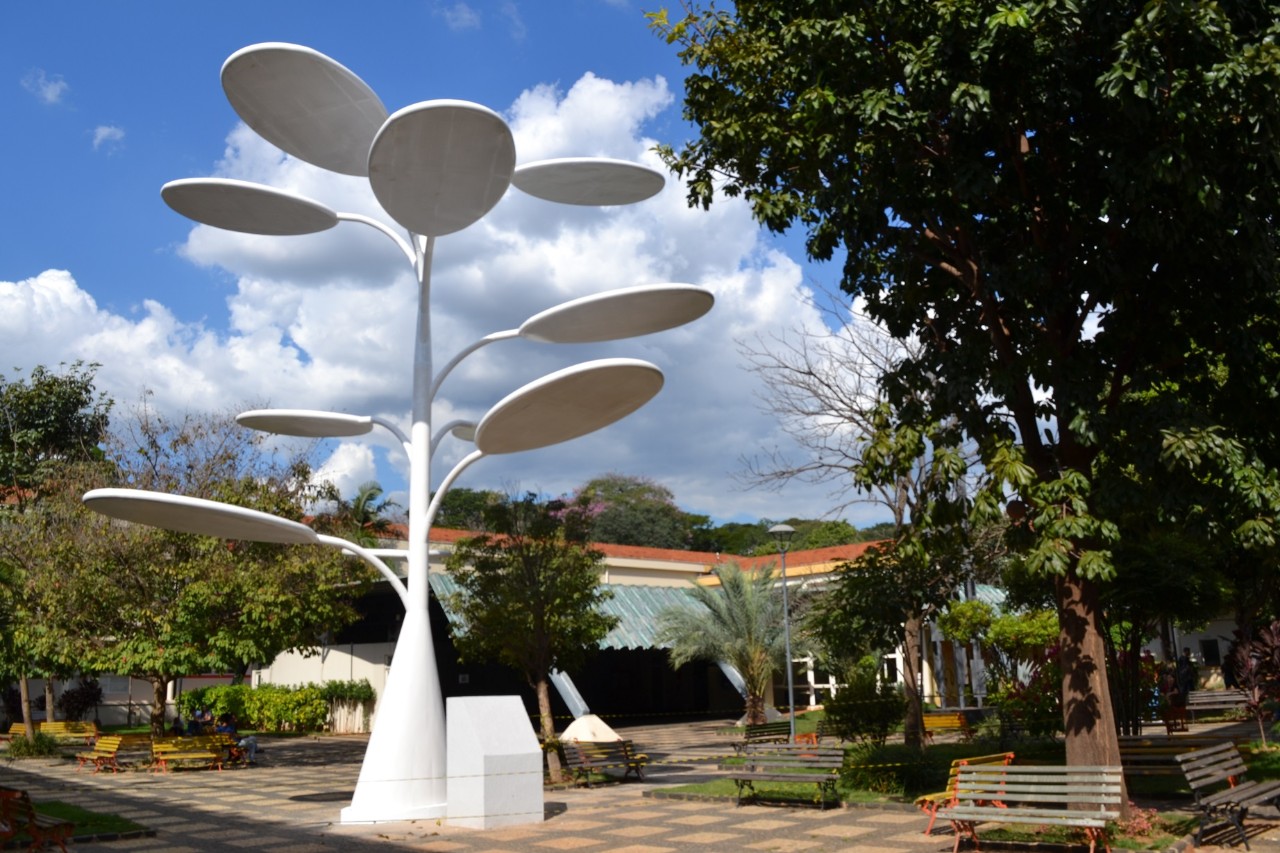Solar tree and energy efficiency at universities
